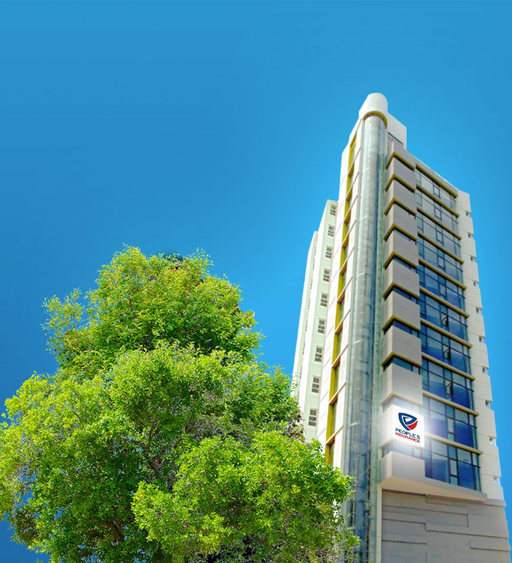 Sri Lanka's Best General Insurance Company | People's Insurance PLC